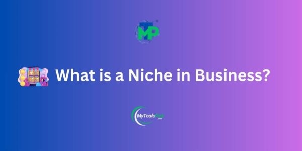 What Is a Niche Market? 24 Examples And How To Find One Easily in 2025
